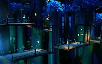 Sonic Unleashed - A Gallery By: AFaster At Alpha Coders