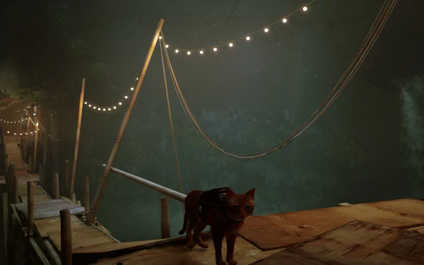 [100+] Stray Wallpapers