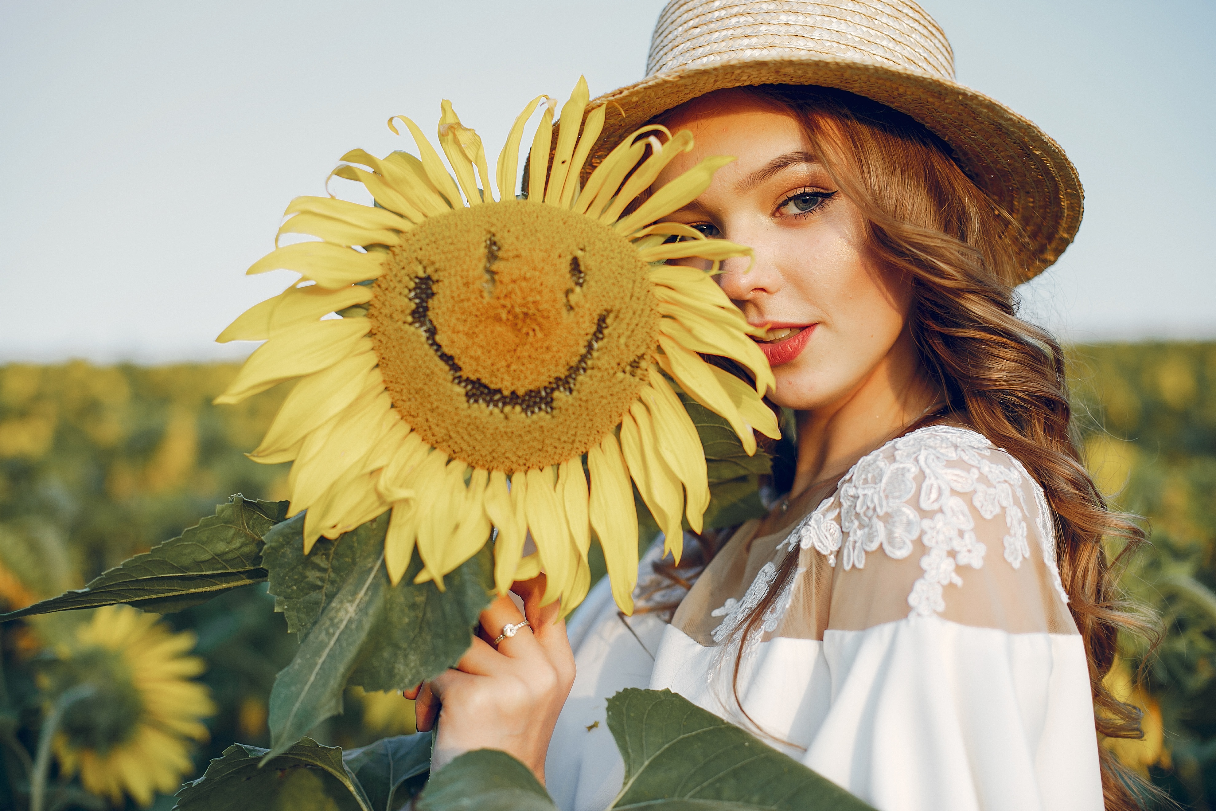 Sunflower Field Desktop Background