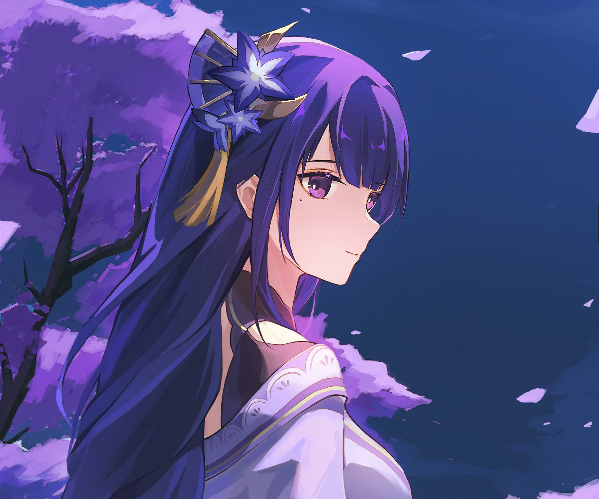 Download Baal Raiden Shogun (Genshin Impact) Video Game Genshin Impact ...