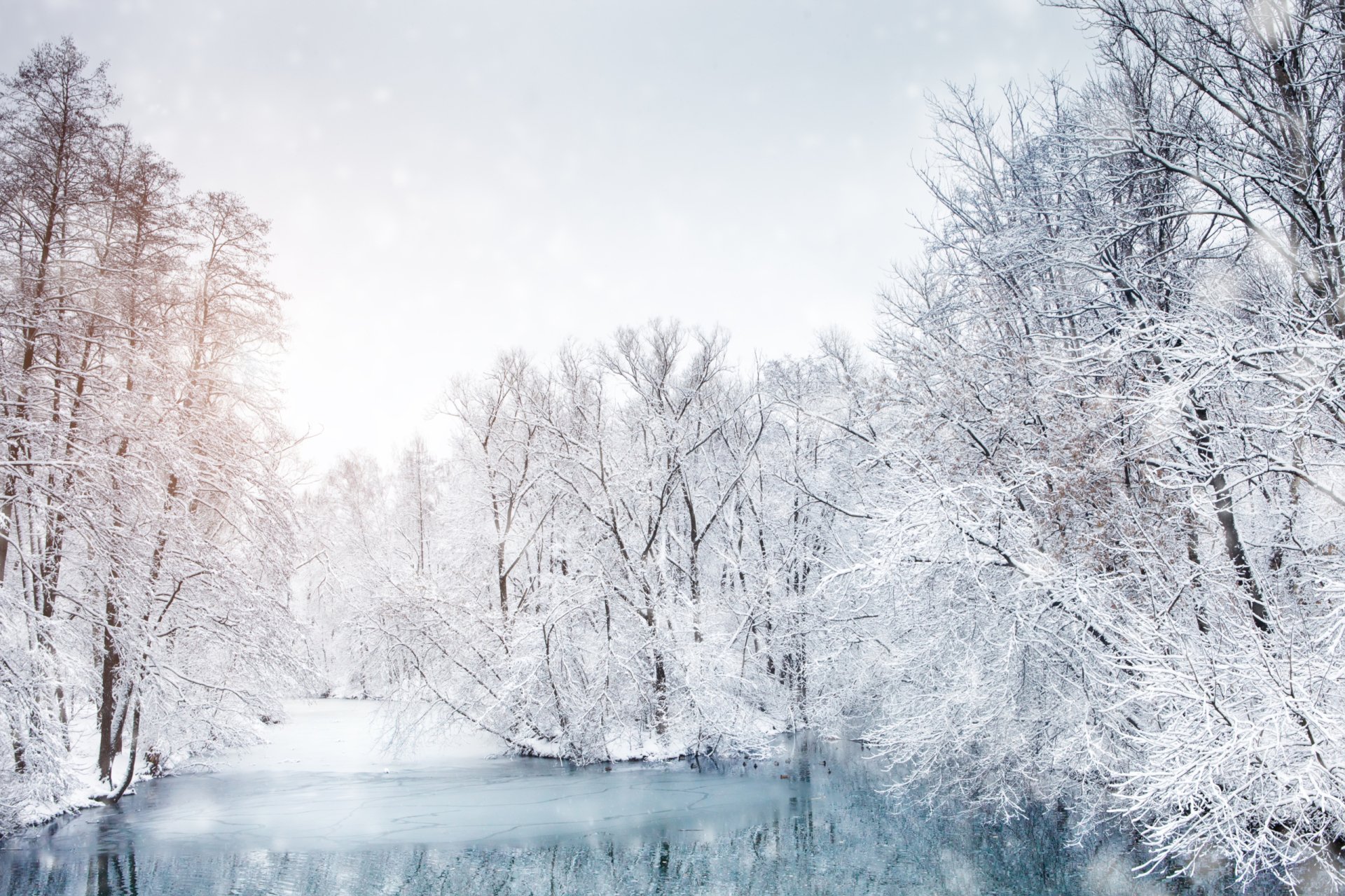 2K Quad HD Winterscape - Silent River Nature Wallpaper