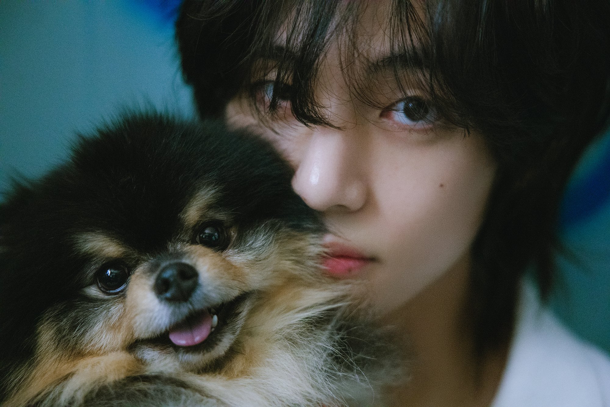 150+ BTS Fondos de pantalla HD y Fondos de Escritorio