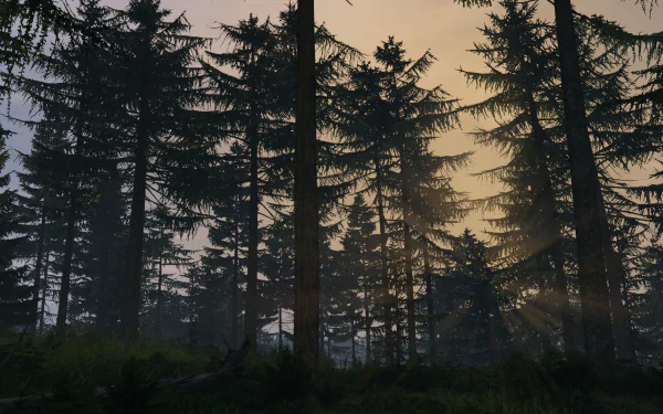 DayZ 4K Ultra HD Wallpaper: Bold Adventures Await