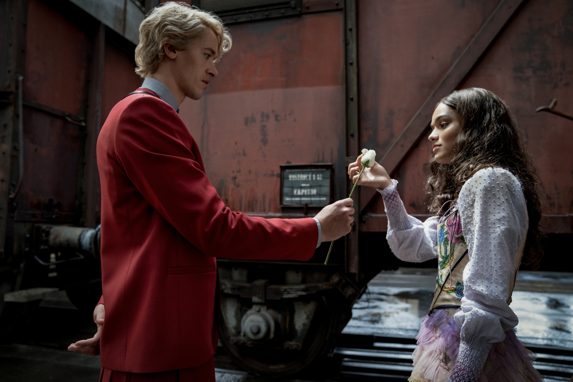 Hunger Games Ballad of Songbirds & Snakes HD Wallpaper | 3600x2400 ...