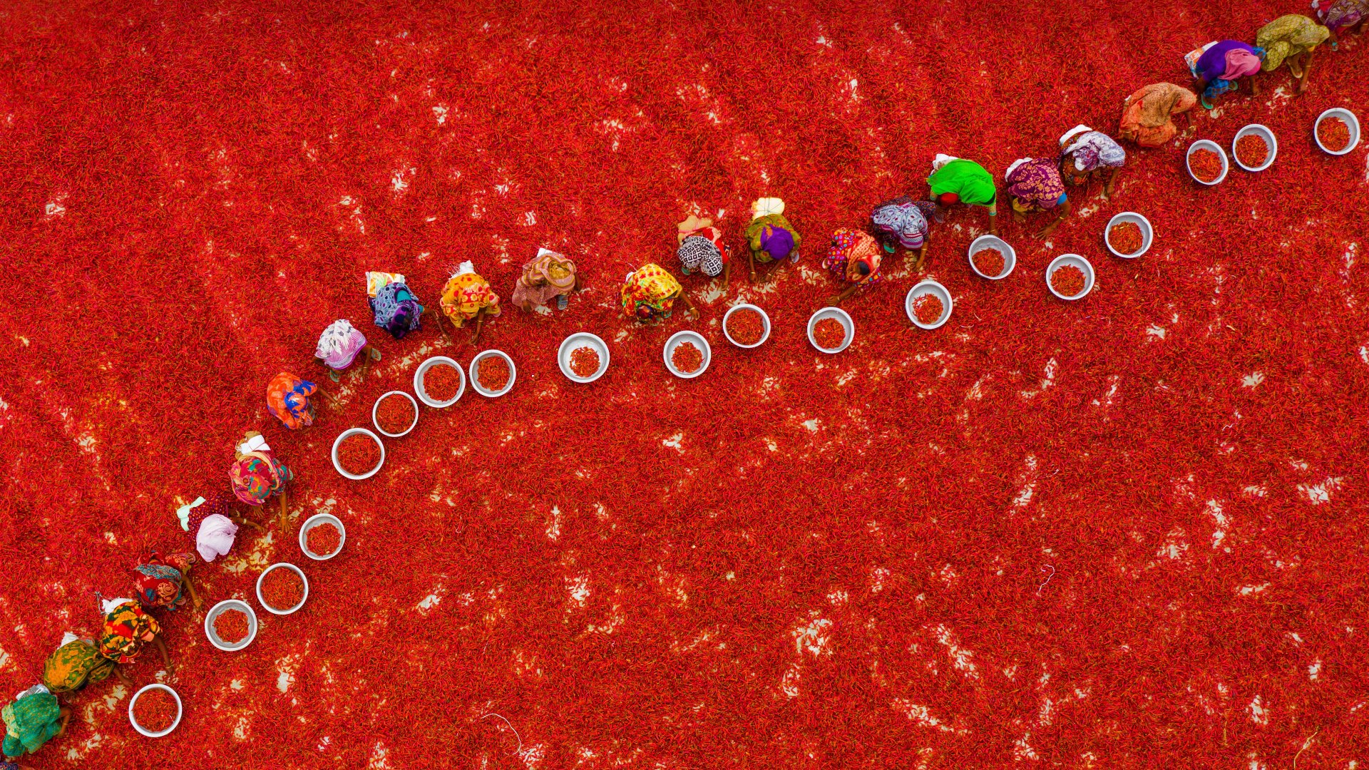 [10+] Chili Wallpapers