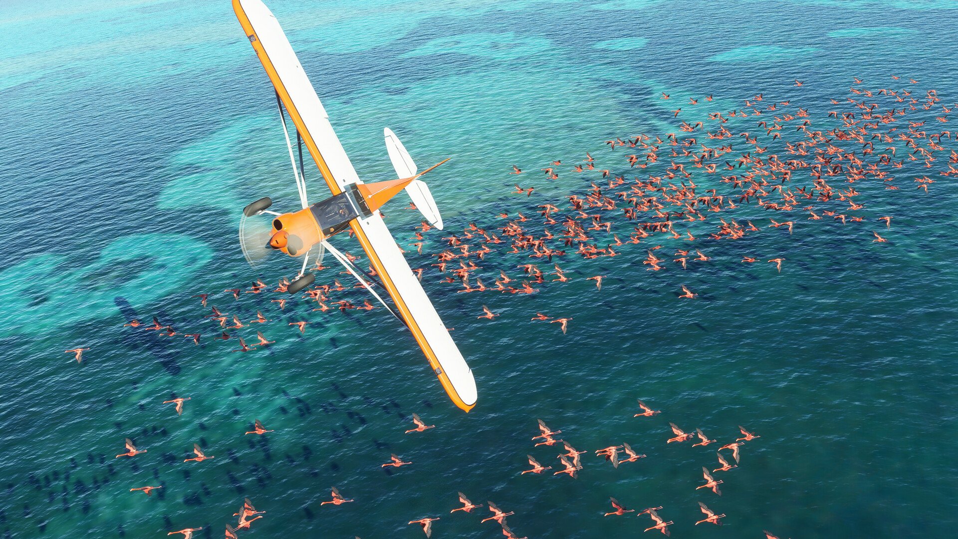 Microsoft Flight Simulator HD Wallpaper - Vintage Plane Over Ocean