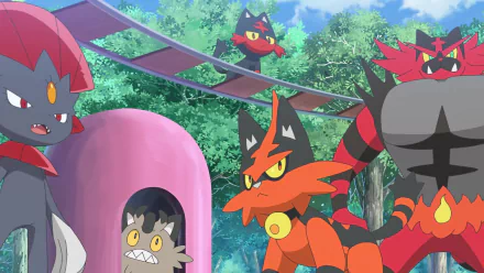 Pokémon Horizons: The Series - Desktop Wallpapers, Phone Wallpaper, PFP ...