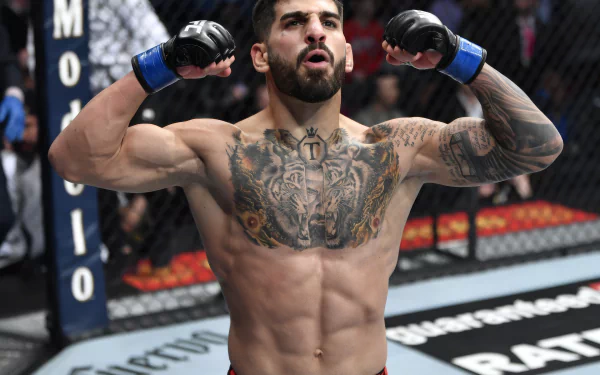 Ultimate Fighting Championship 4K Ultra HD Wallpaper