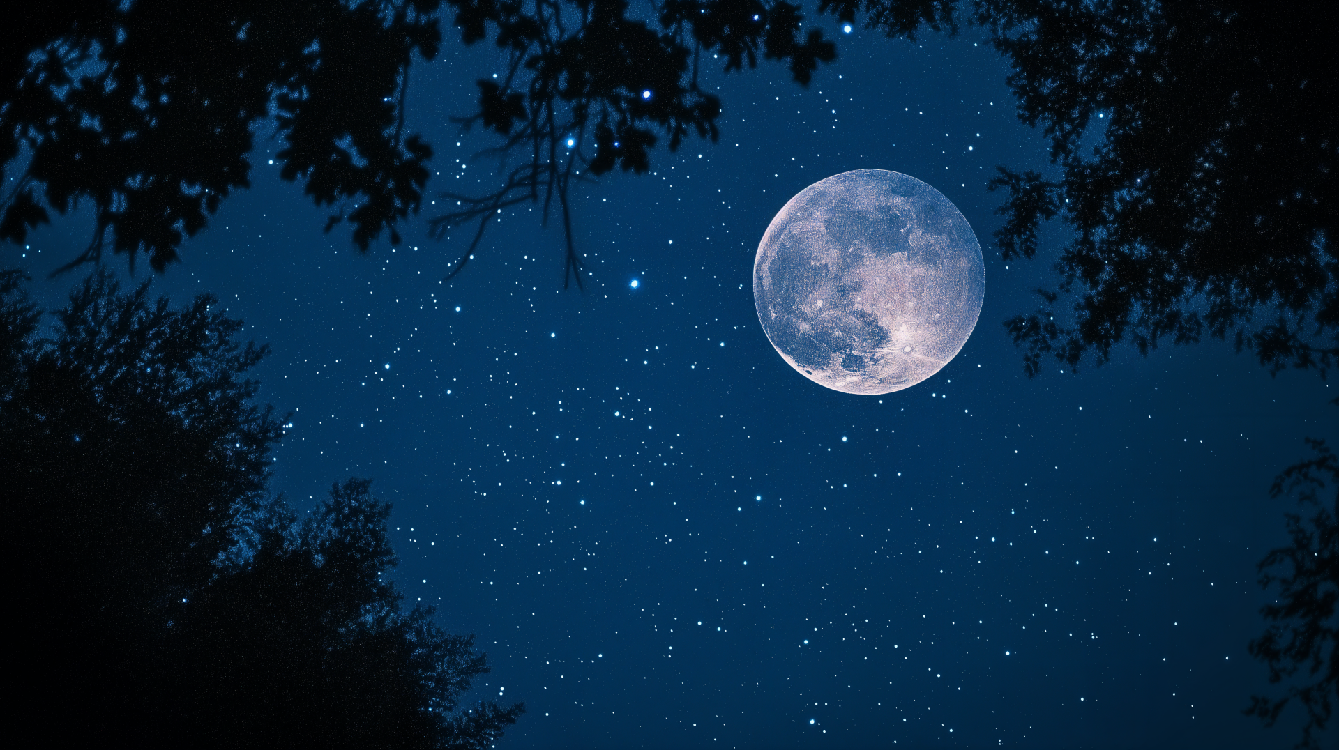 Moonlit Sky: Stunning 4K Ultra HD Wallpaper by robokoboto