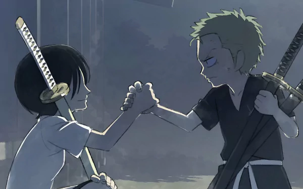 Download Anime The One Piece Kuina (One Piece) Roronoa Zoro One Piece ...