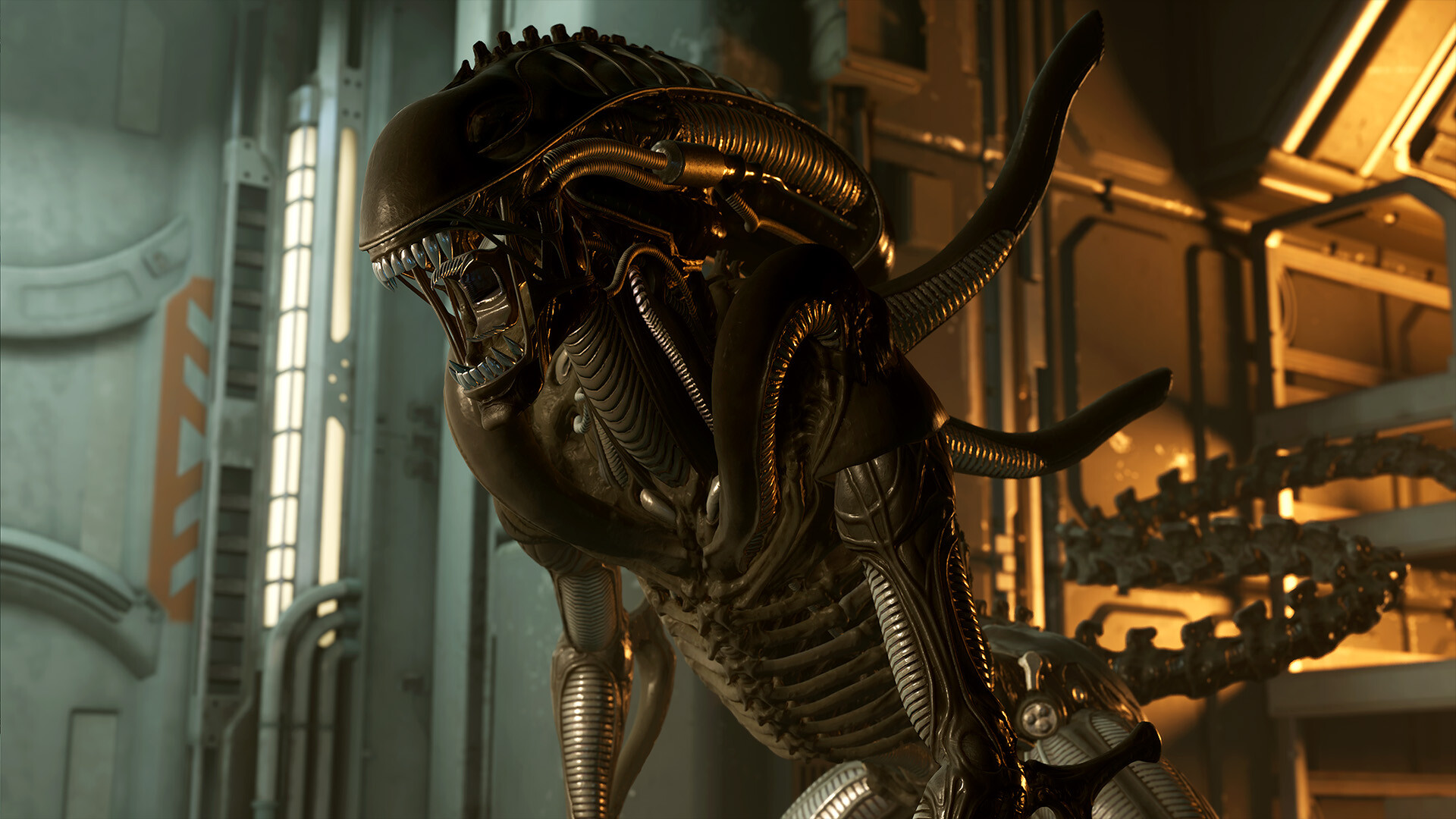 Alien: Rogue Incursion HD Wallpaper