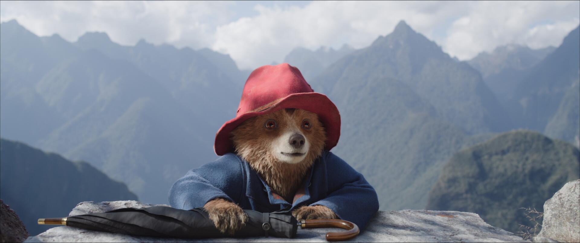 Paddington in Peru: HD Wallpaper Adventure