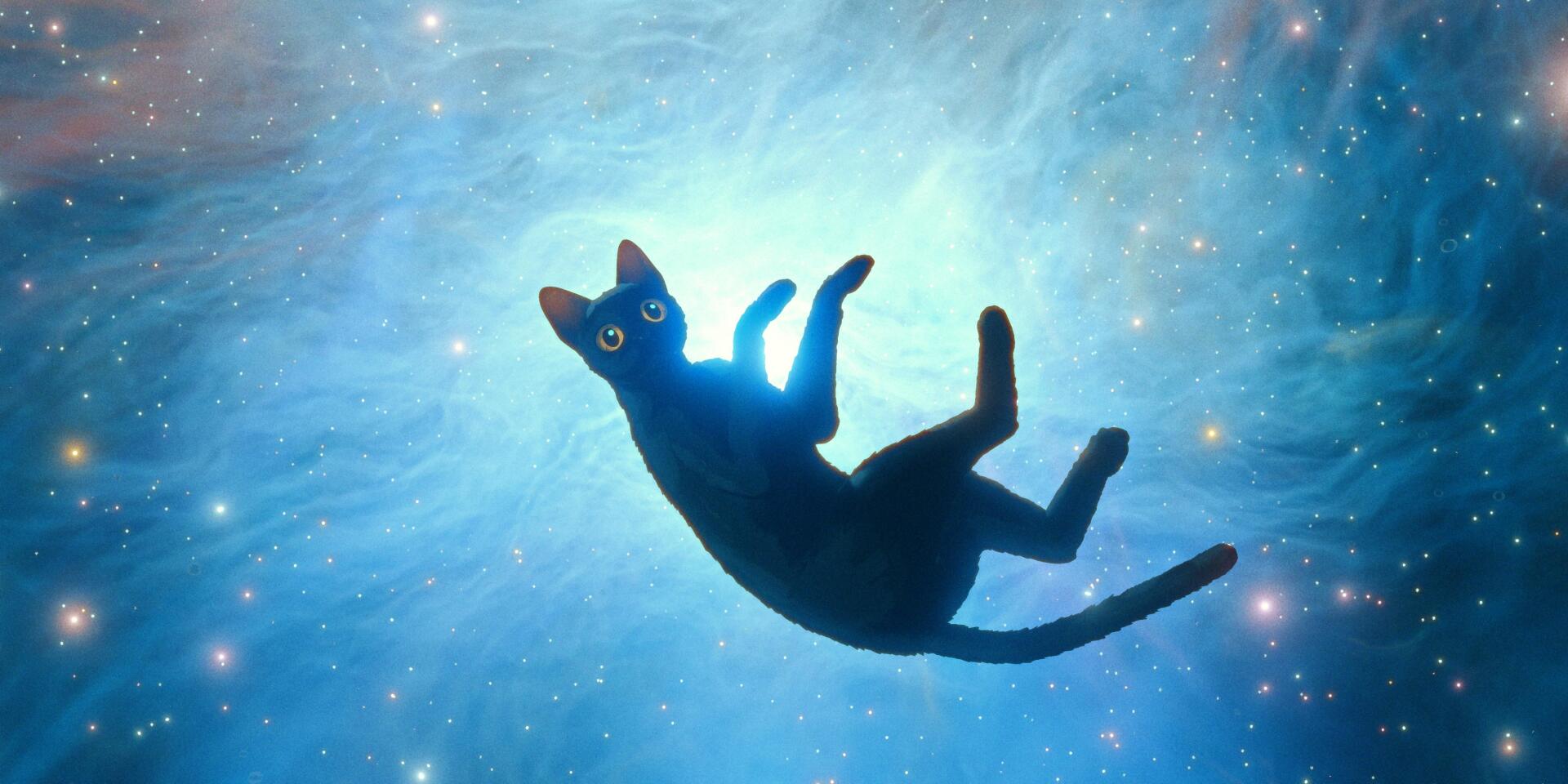 Flow (2024) - Captivating HD Wallpaper of a Cosmic Cat
