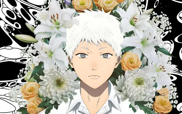 [10+] The Summer Hikaru Died Wallpapers