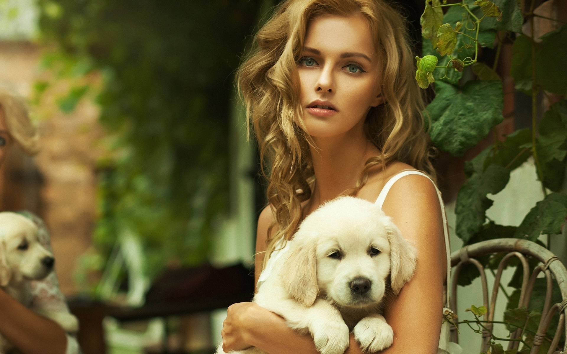 Model with Puppy - HD Wallpaper