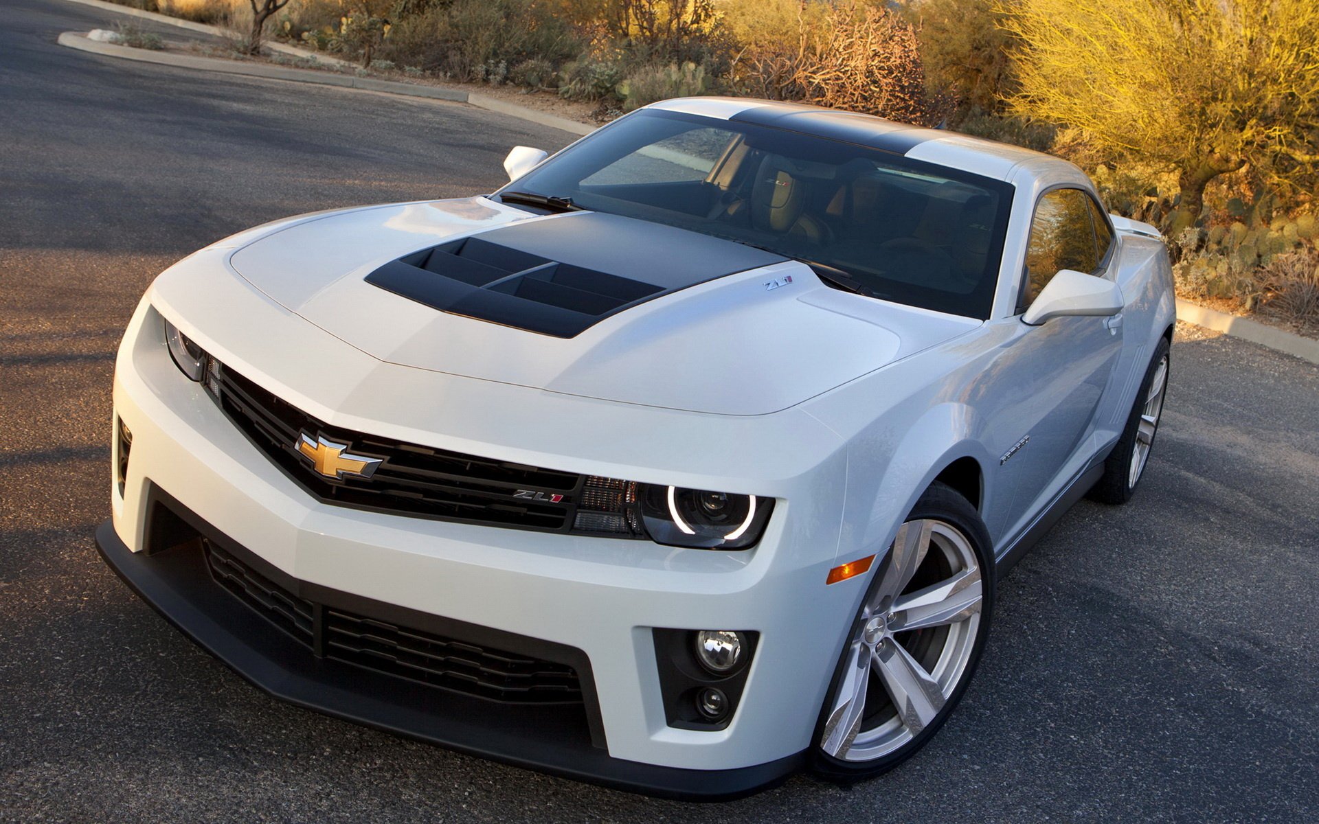 Download Chevrolet Vehicle Chevrolet Camaro HD Wallpaper
