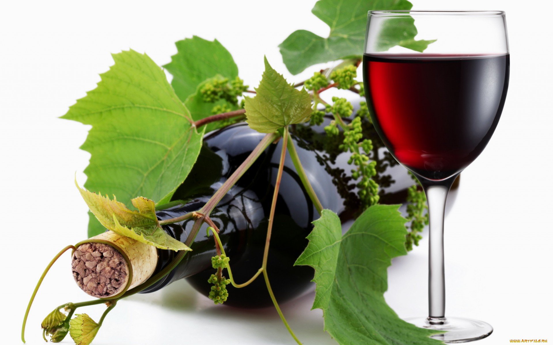 Exquisite Red Wine & Vineyard Leaves HD Wallpaper Delight