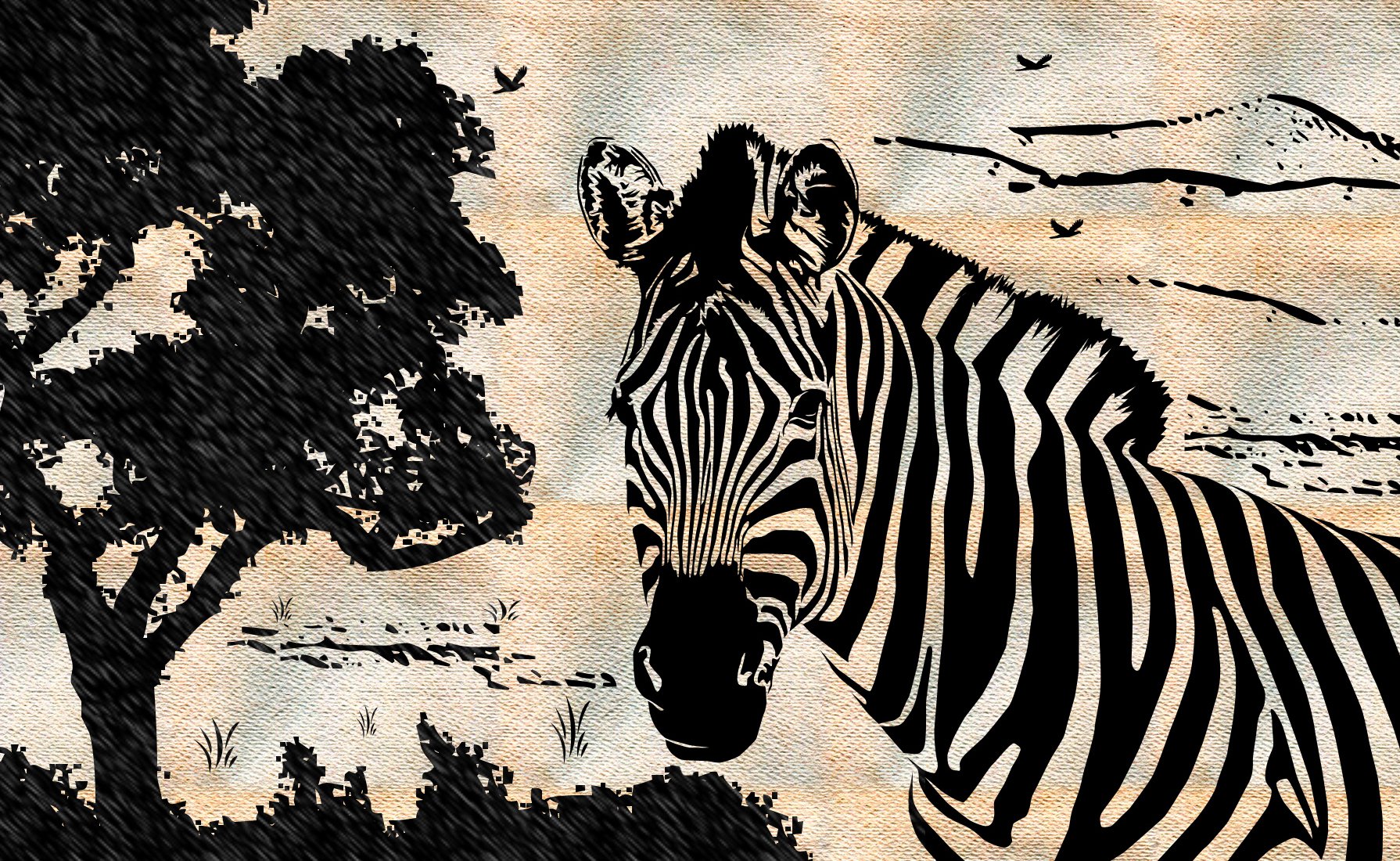 Cool Zebra Drawing
