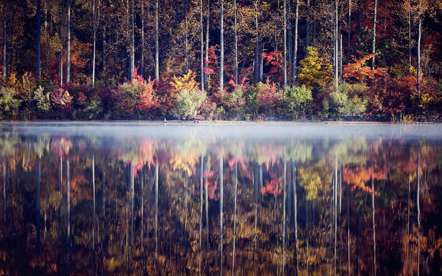 Download Nature Reflection Wallpaper