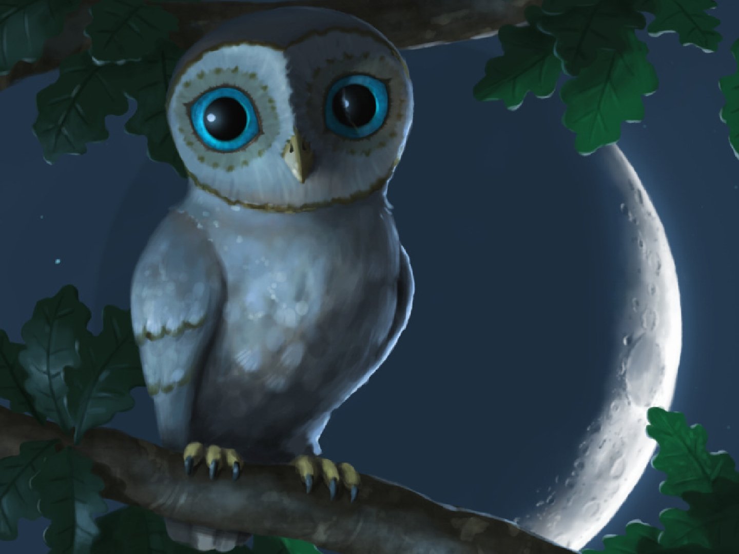 Animal Owl Wallpaper