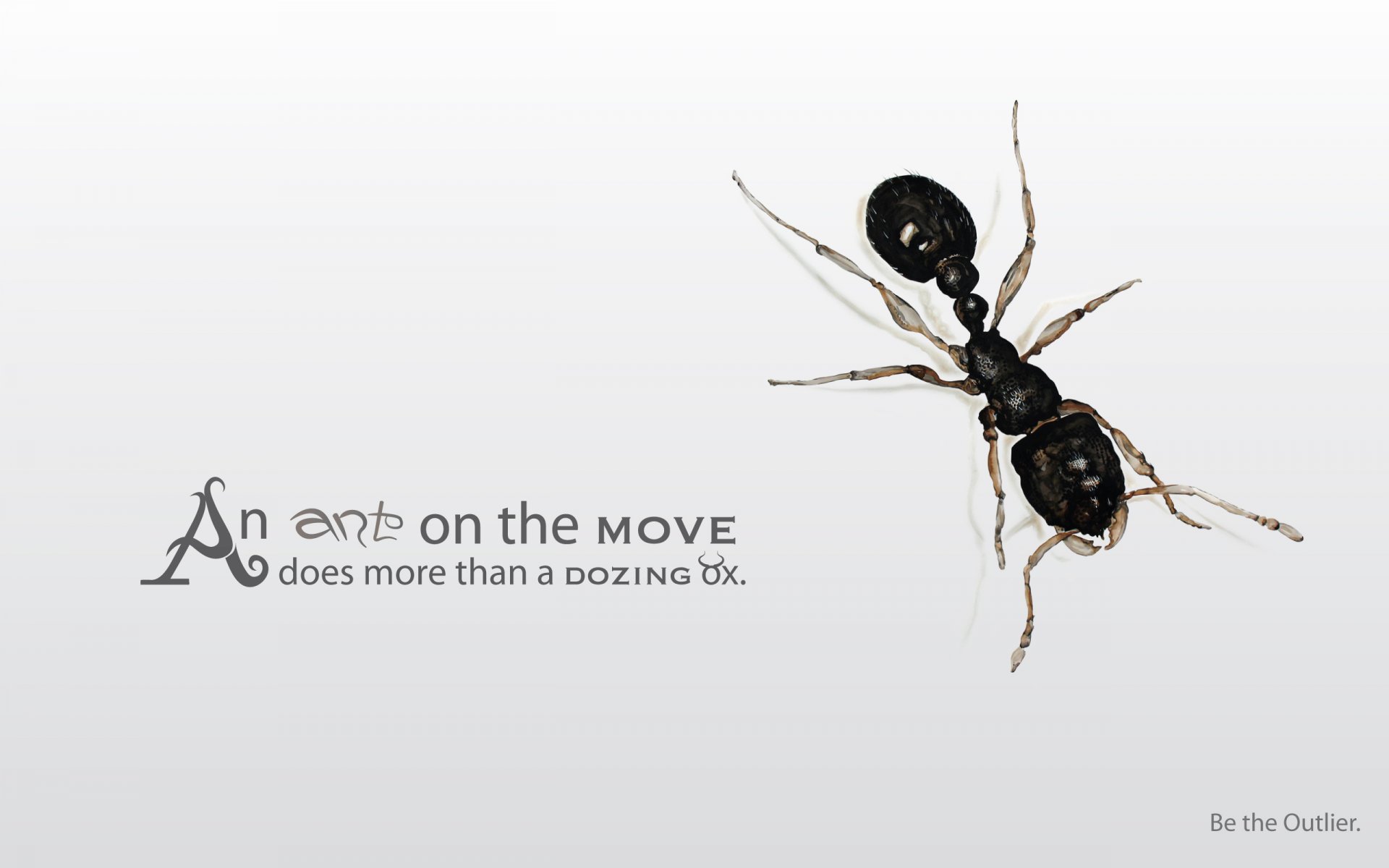 Ant on the Move: Powerful Statement HD Wallpaper of a Diligent Animal