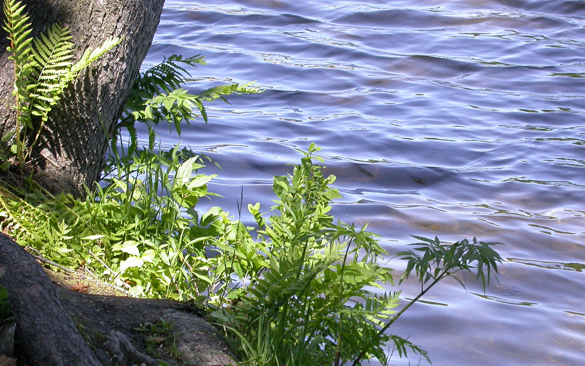 Moril-relax scene by Moril