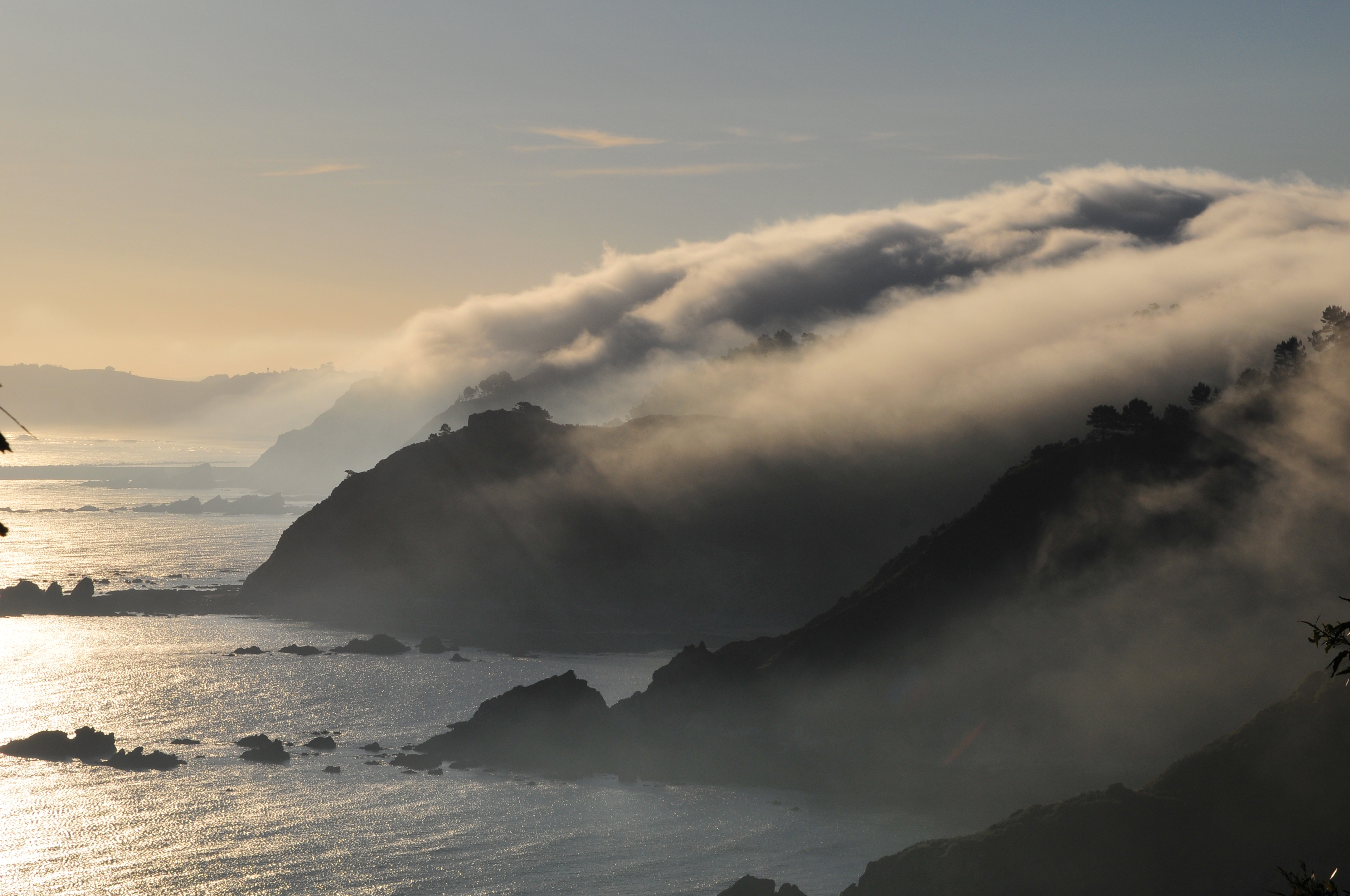 Download Nature Fog HD Wallpaper