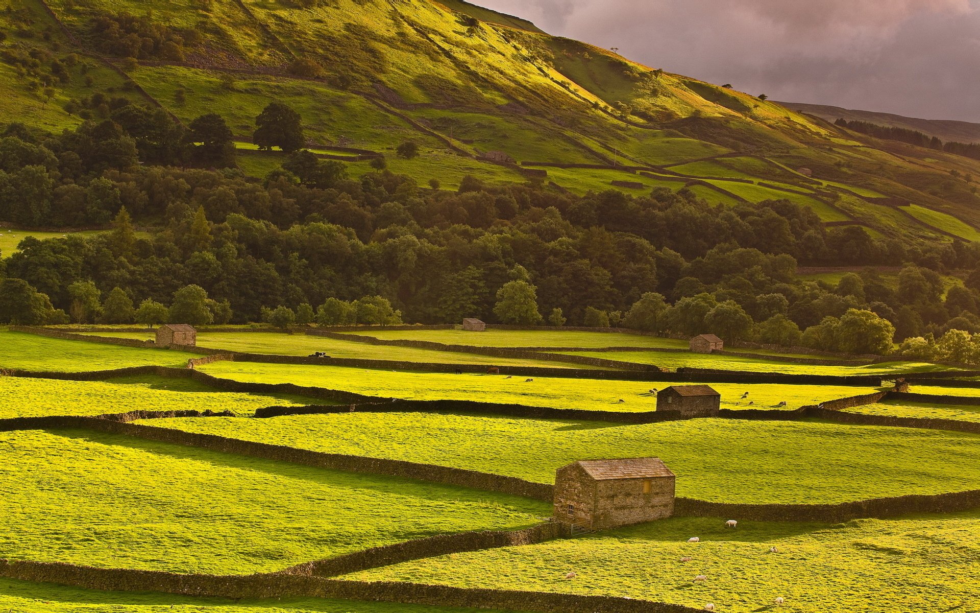 Download Photography Landscape HD Wallpaper | 1920x1200 | Wallpaper Abyss