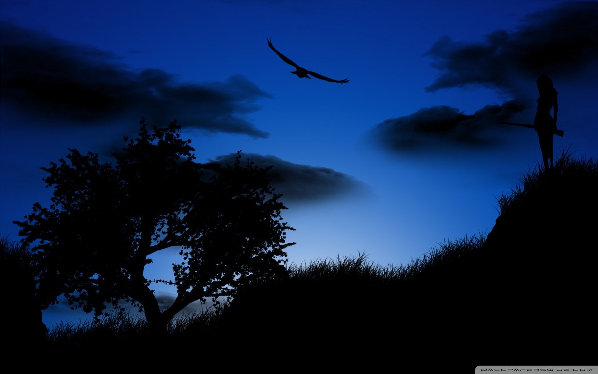 Artistic Nightscape: Soaring Shadows in HD | 1920x1200 | Wallpaper Abyss