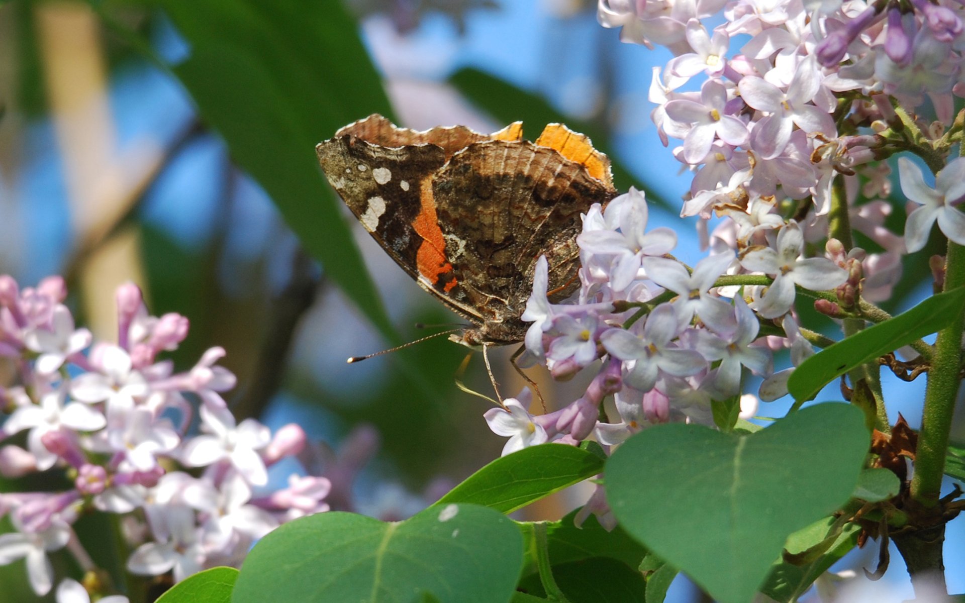 Moril-moment de détente by Moril