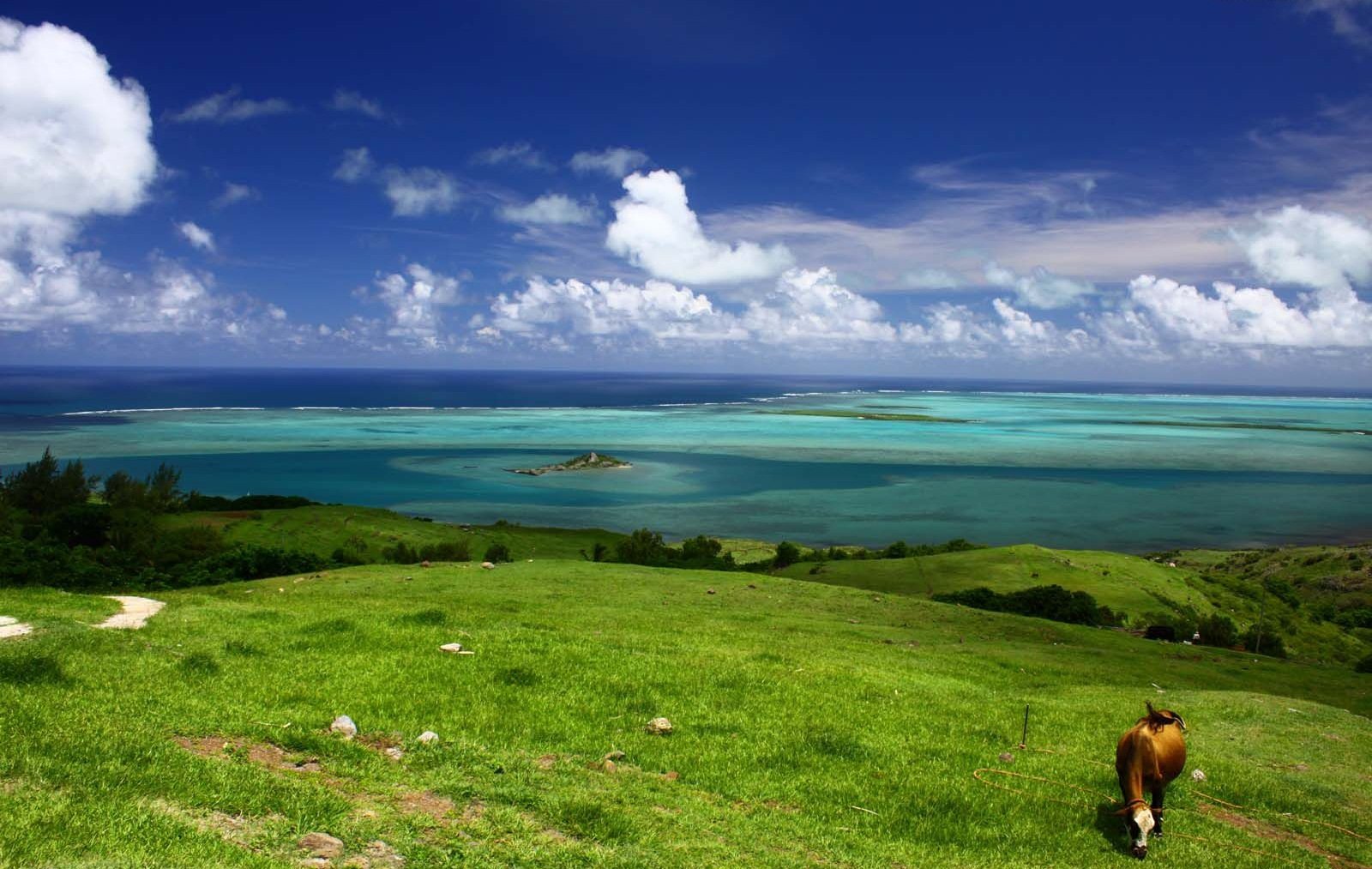 Download Nature Landscape Wallpaper