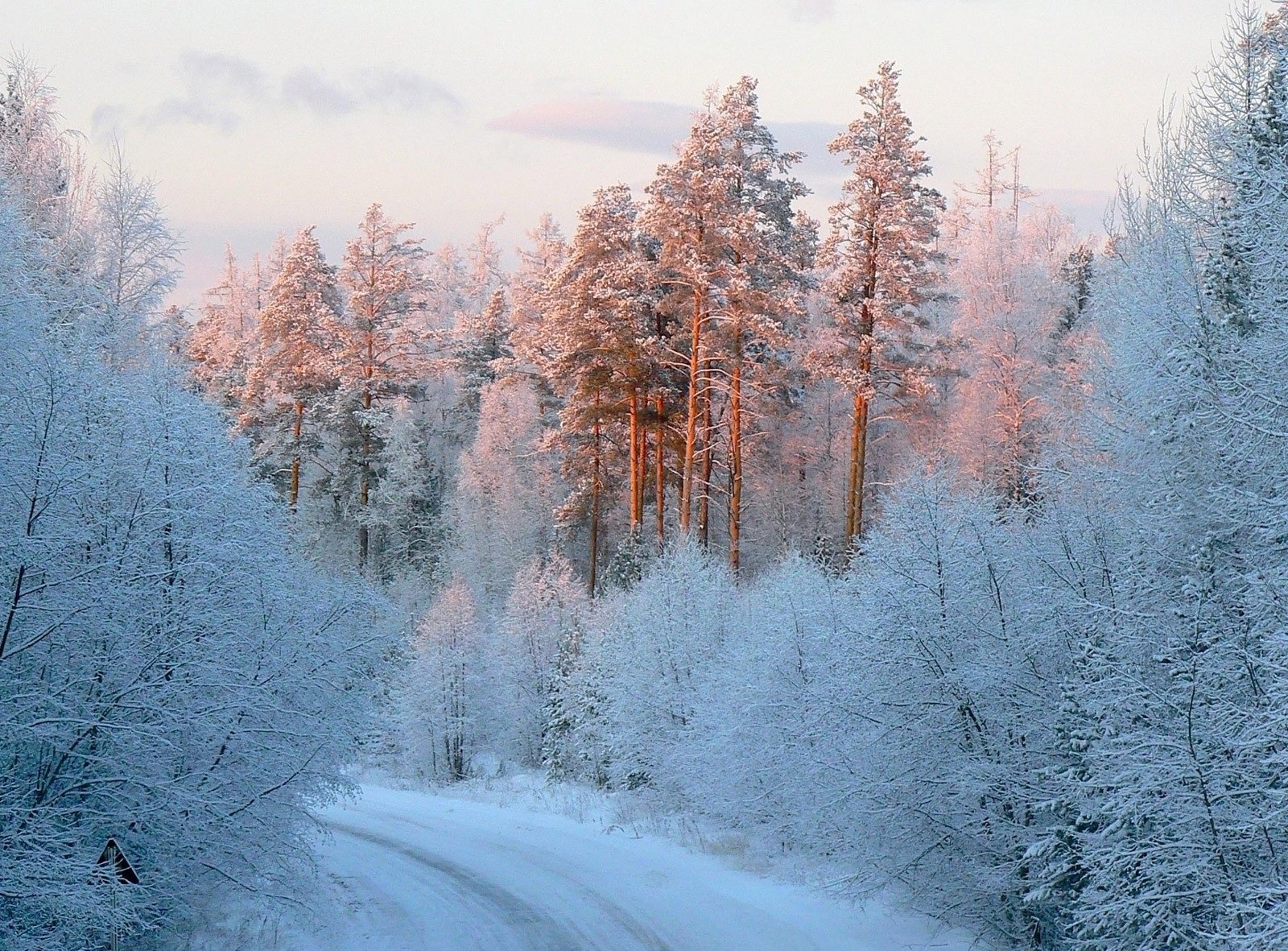 Download Nature Winter Wallpaper