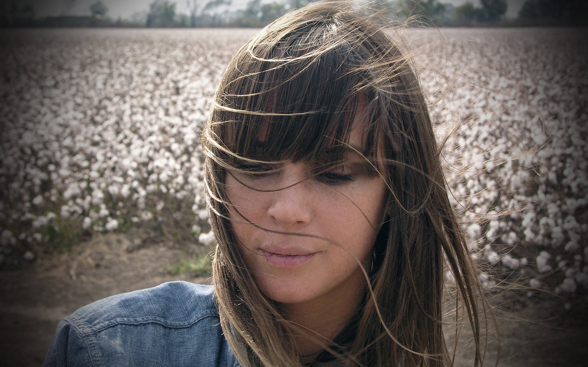 Music Cat Power HD Wallpaper