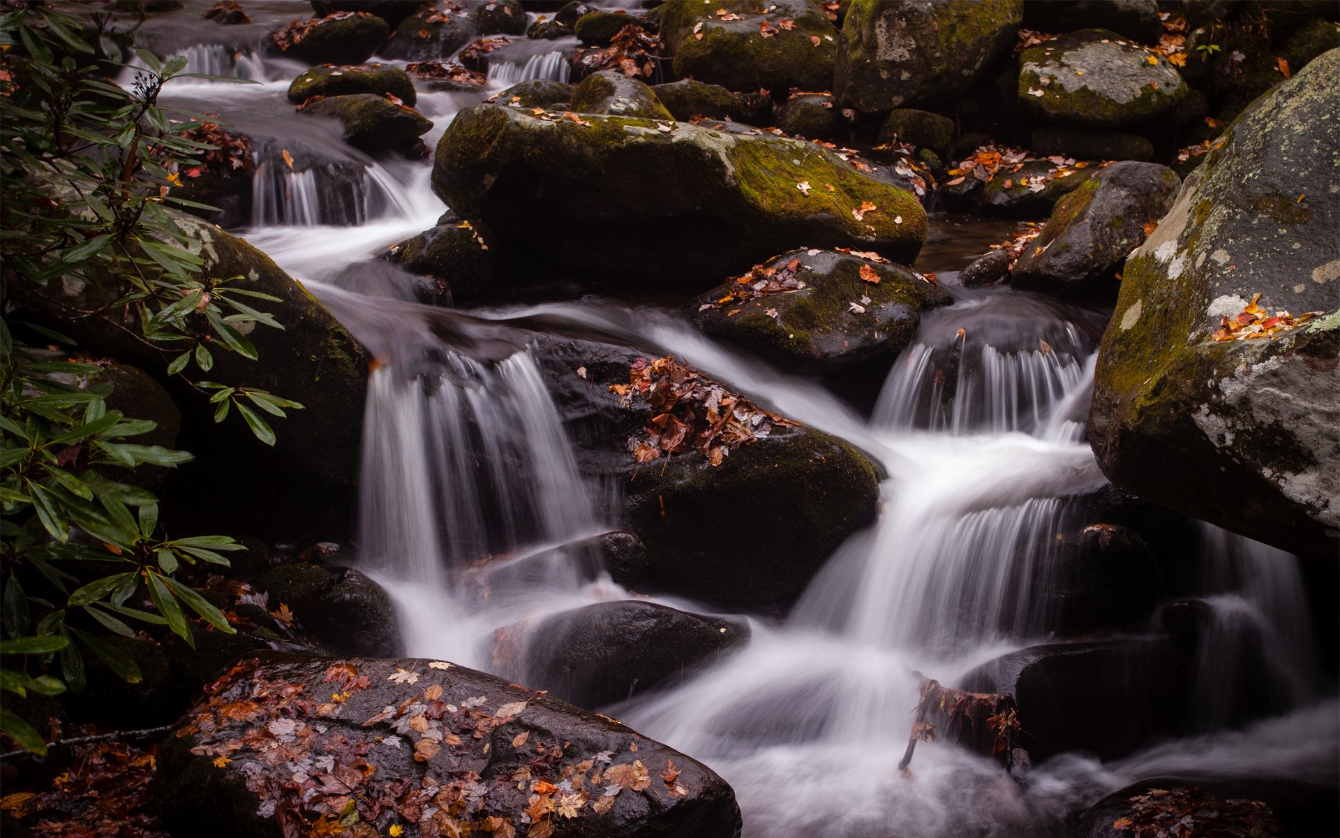 Silken Mountain Stream — HD Nature Wallpaper | 1920x1200 | Wallpaper Abyss