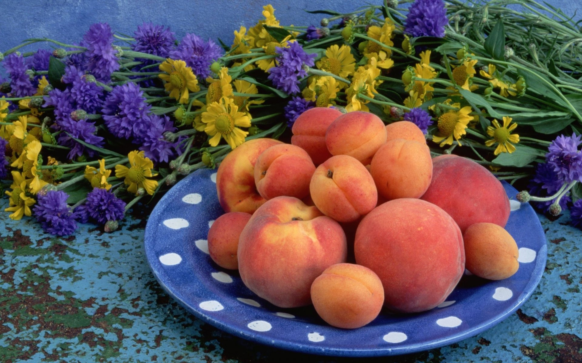 Vibrant Apricot and Peach Delight HD Wallpaper | 2560x1600 | Wallpaper ...
