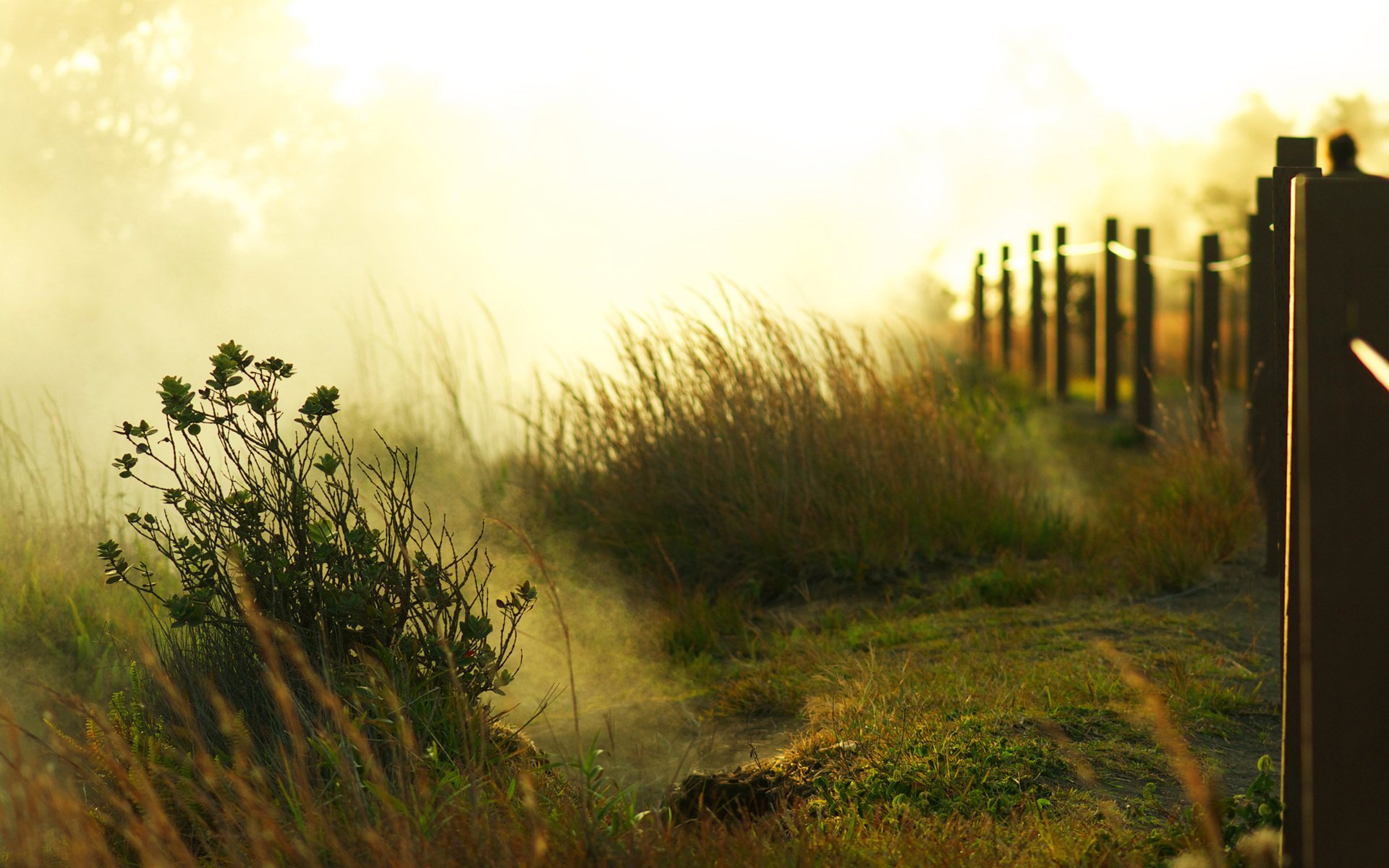 Download Man Made Fence HD Wallpaper | 1920x1200 | Wallpaper Abyss