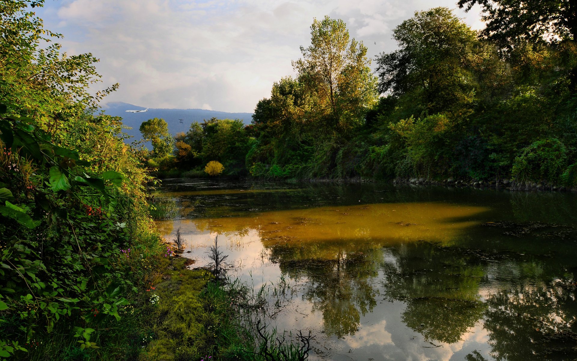 Download Nature River HD Wallpaper | 2560x1600 | Wallpaper Abyss