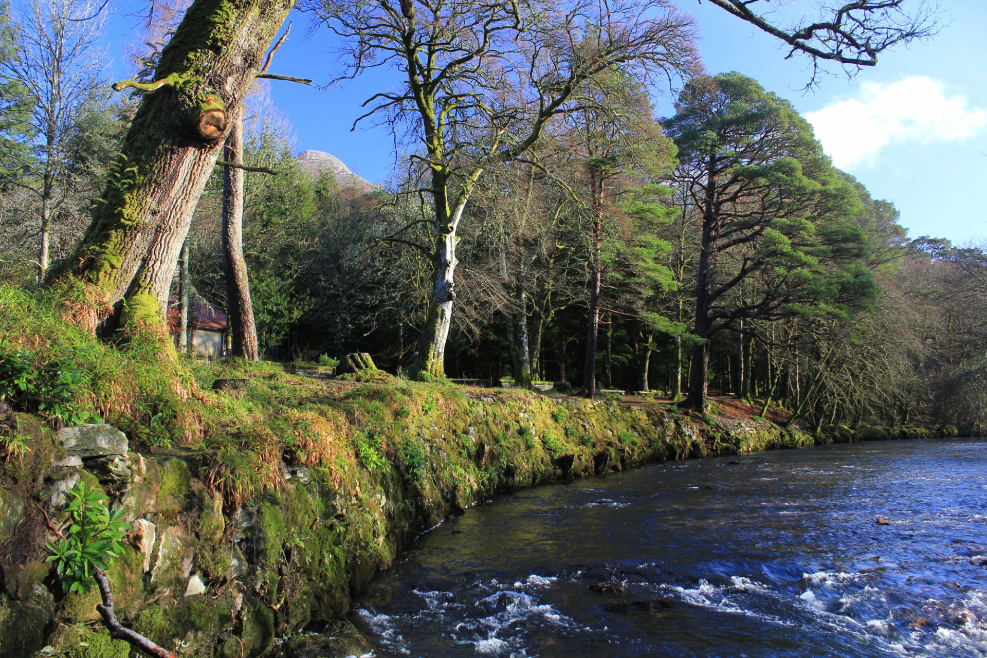 Download Nature River HD Wallpaper