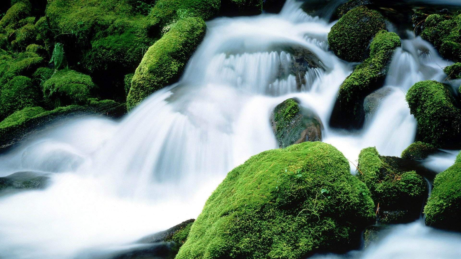 Download Nature Stream HD Wallpaper