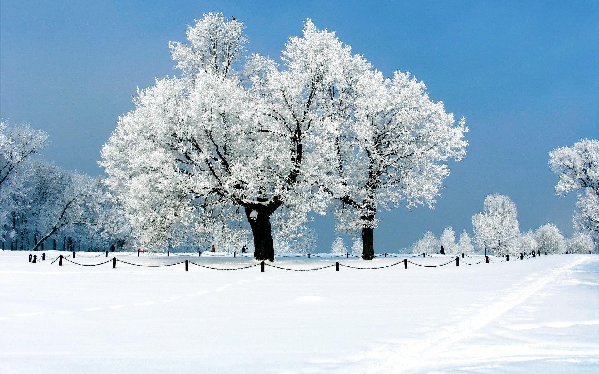 Download Photography Winter HD Wallpaper