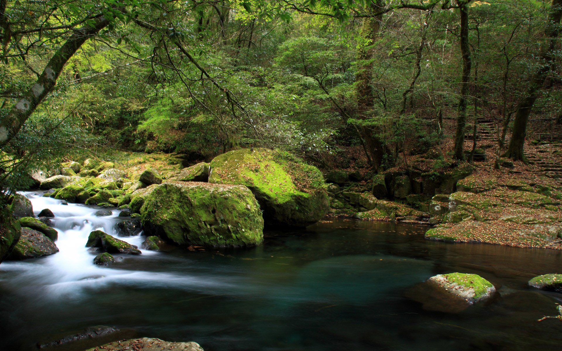 Download Nature River HD Wallpaper | 1920x1200 | Wallpaper Abyss