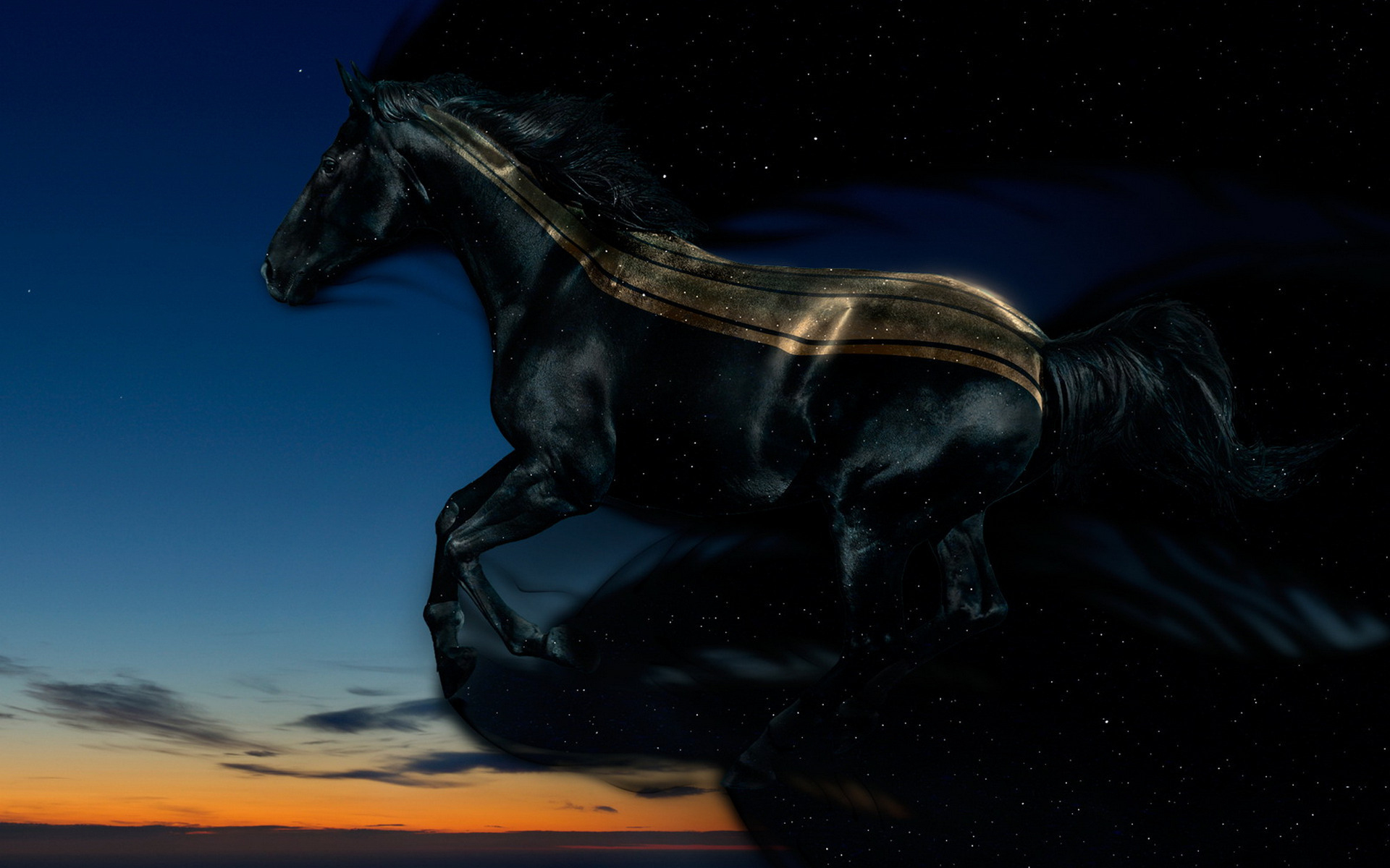 Majestic Night Stallion HD Wallpaper: Wild Horse in Motion