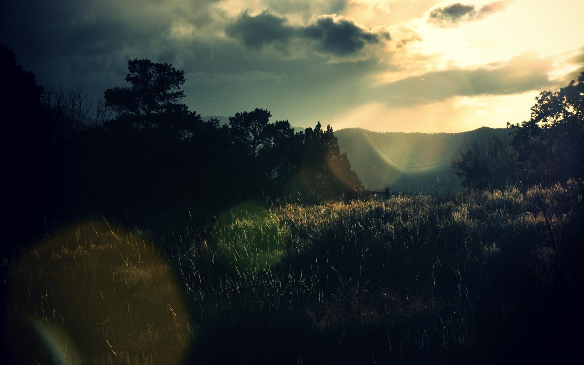 Download Nature Sunbeam HD Wallpaper