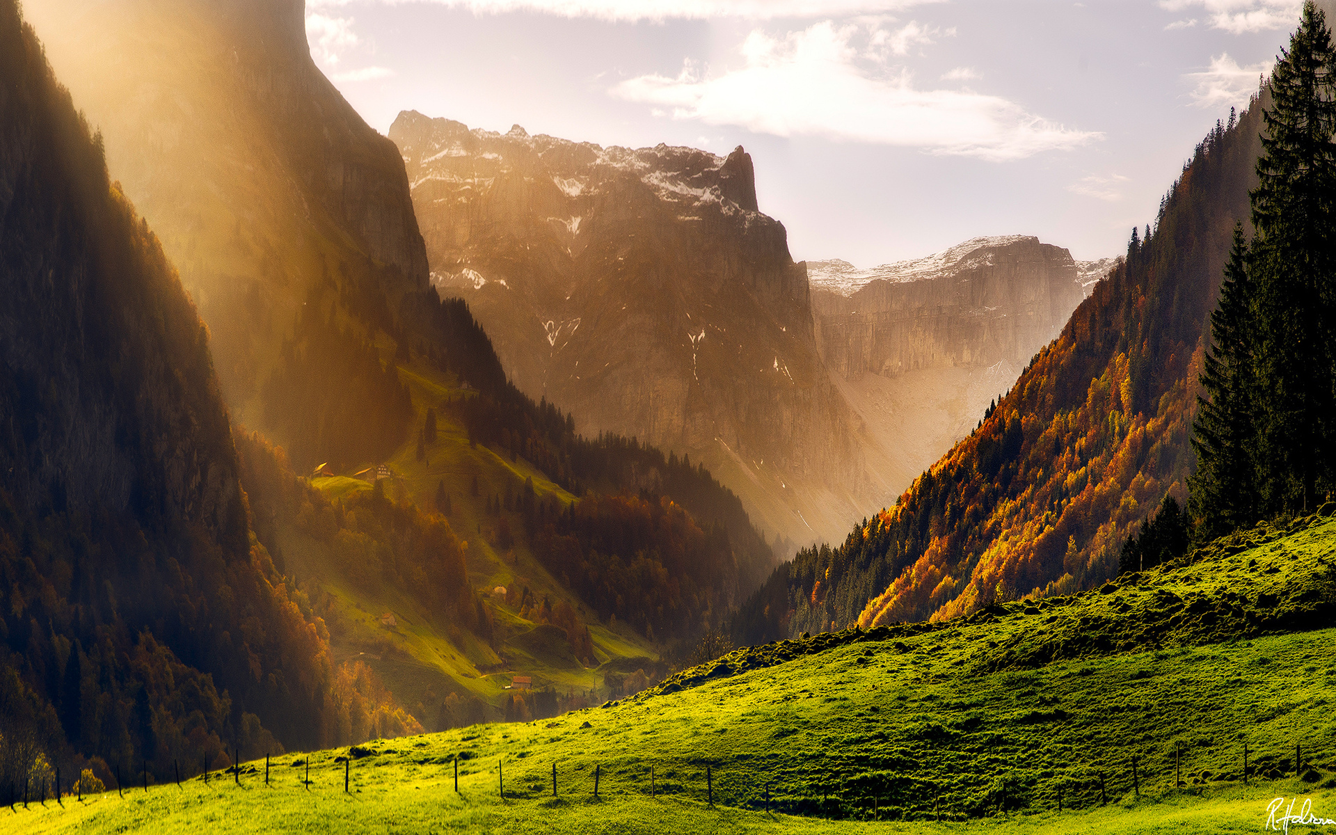 Download Landscape Forest Valley Nature Mountain HD Wallpaper