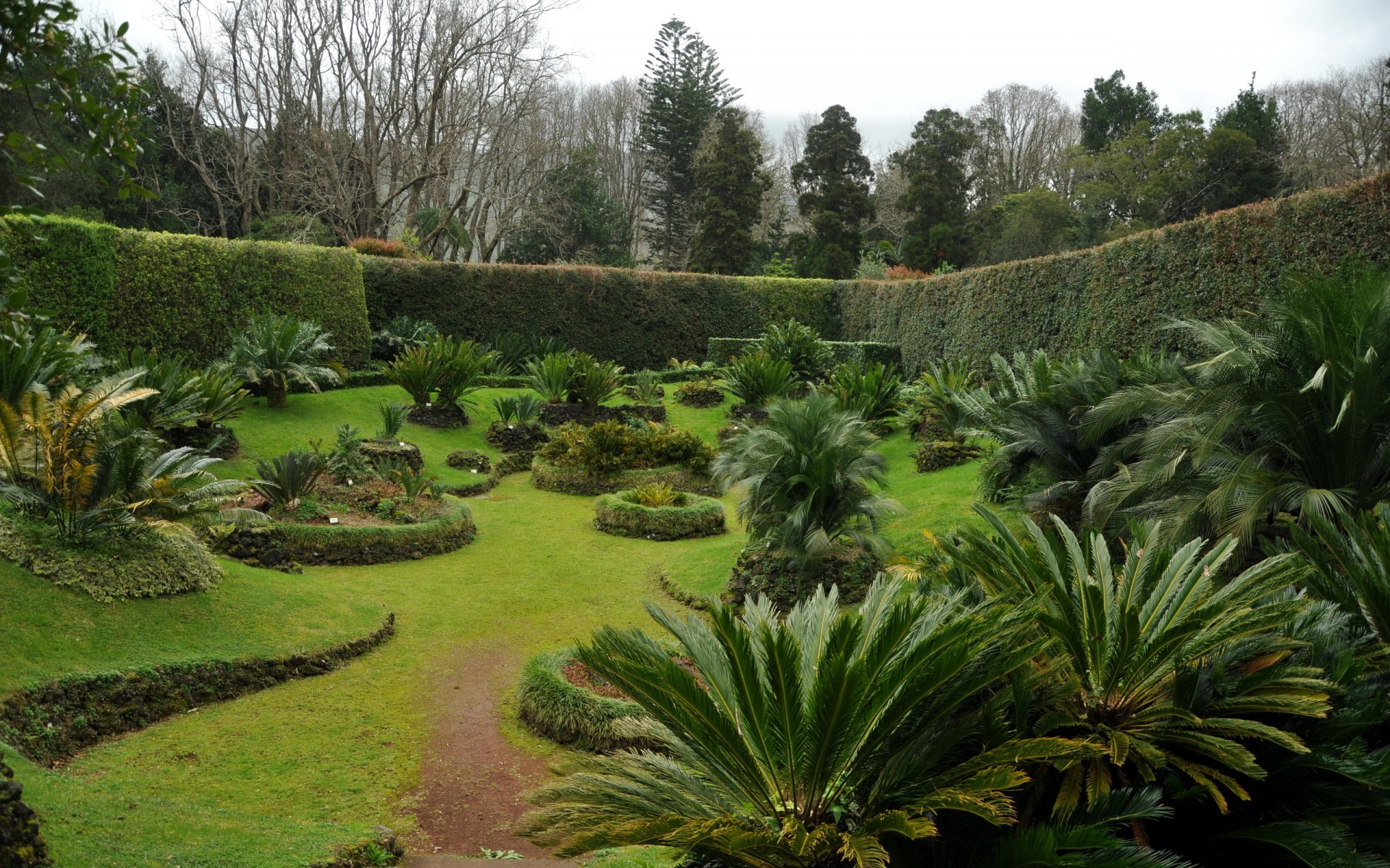 Lush Green Garden: HD Park Photography Wallpaper