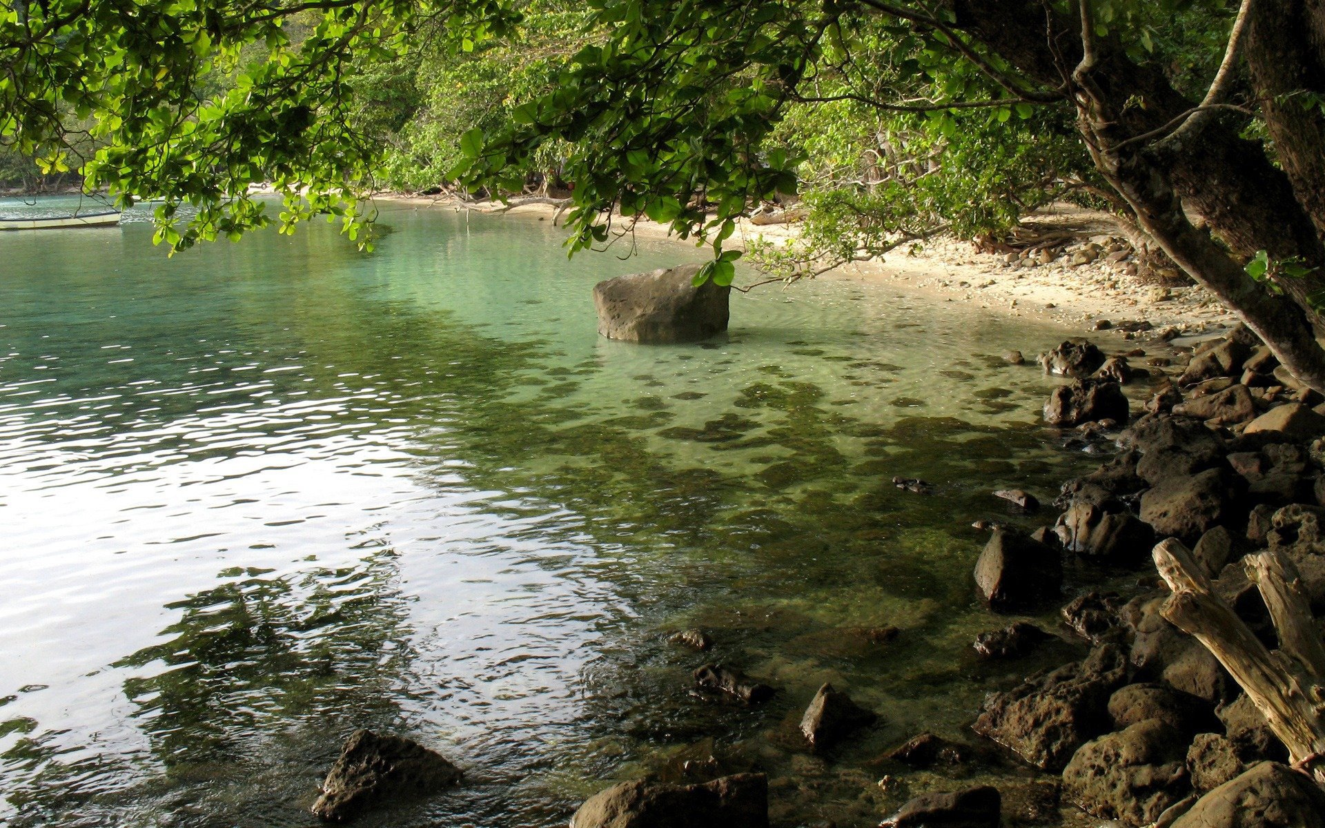 Download Nature River HD Wallpaper | 1920x1200 | Wallpaper Abyss