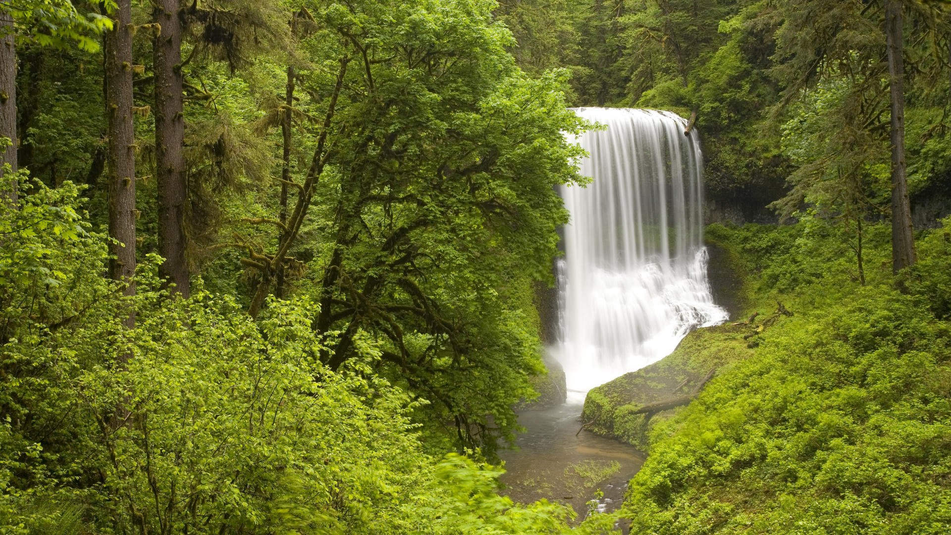 Download Nature Waterfall HD Wallpaper