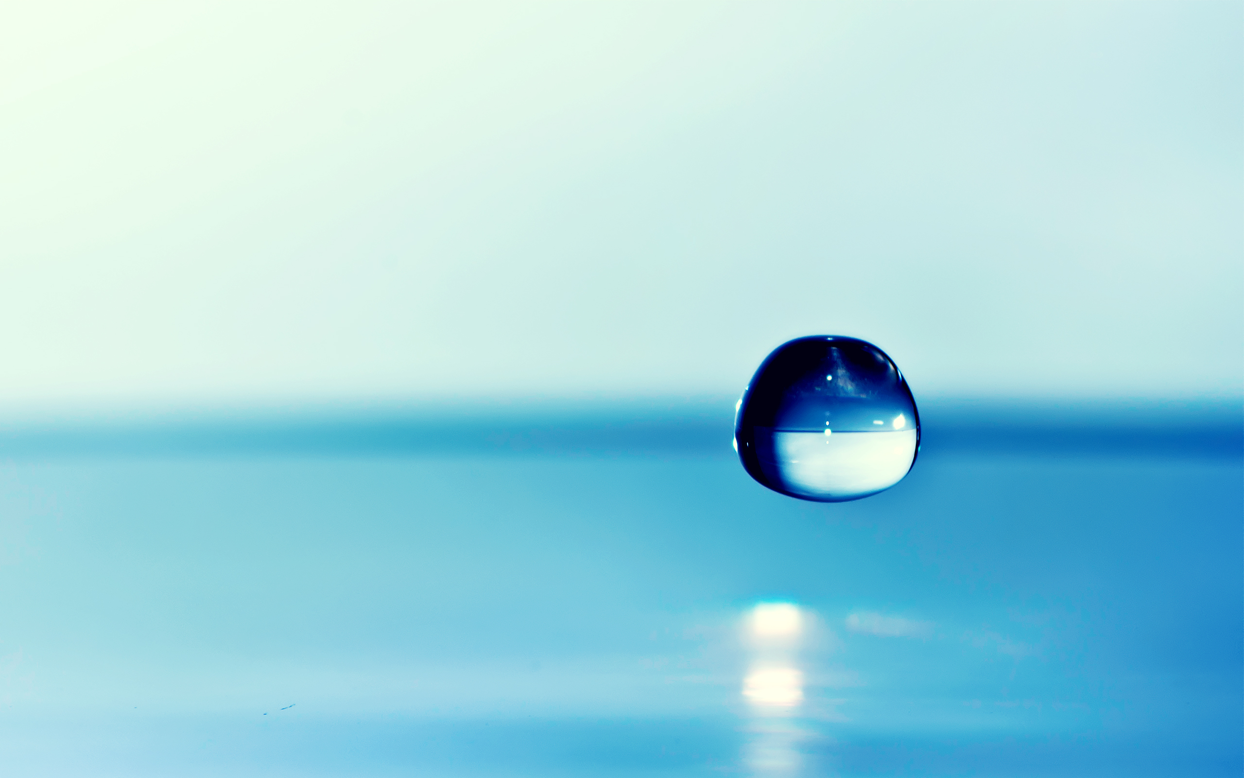 Download Nature Water Drop HD Wallpaper