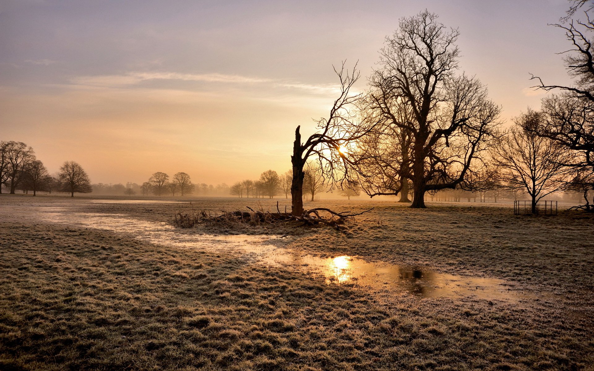 Download Nature Landscape HD Wallpaper | 1920x1200 | Wallpaper Abyss