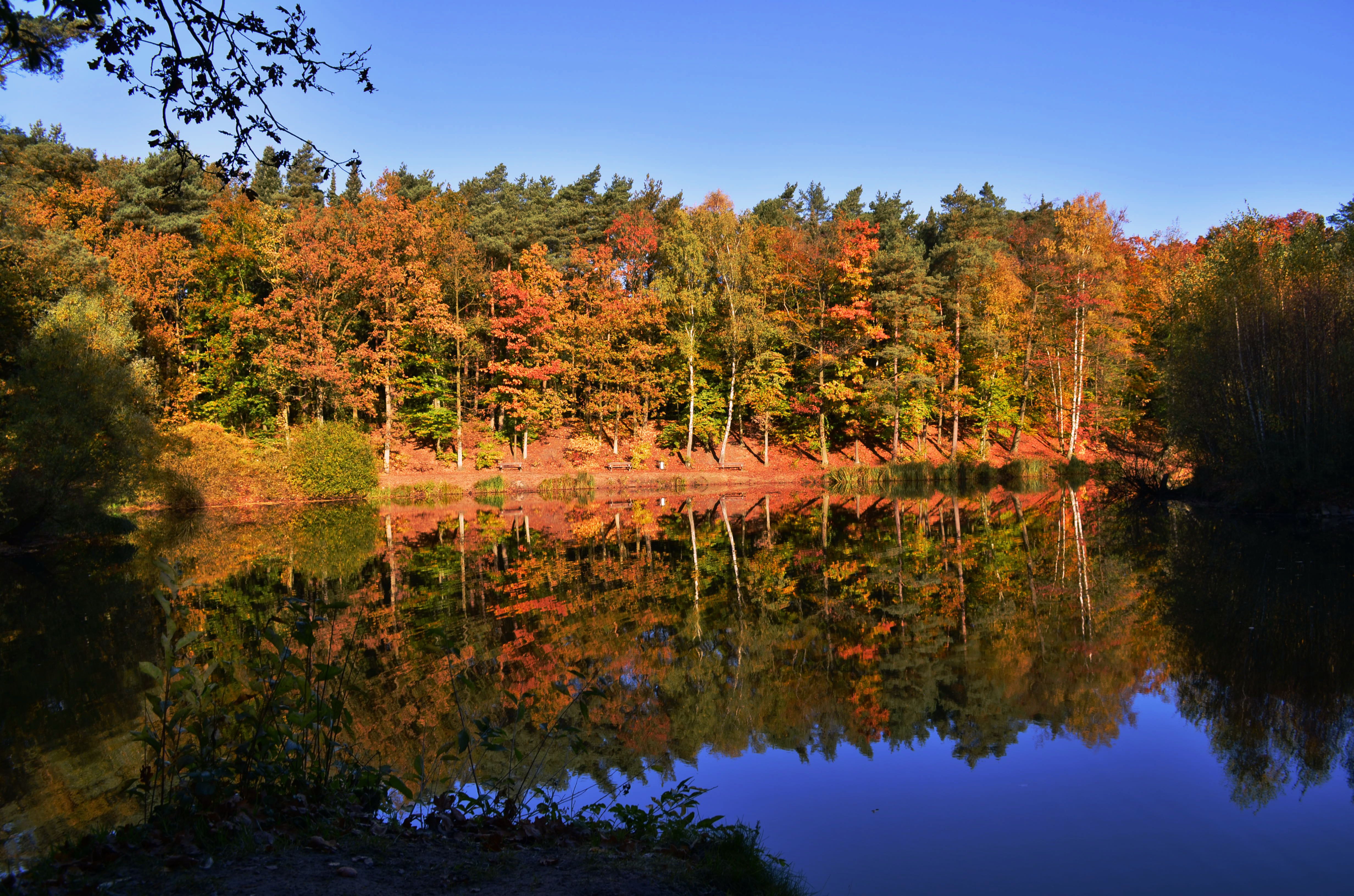 Download Photography Reflection 4k Ultra HD Wallpaper